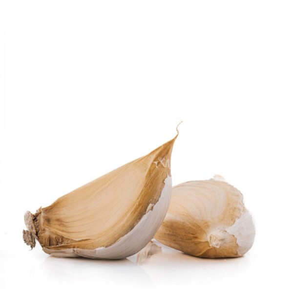 Aglione della Valdichiana 1 KG | Tuscan Elephant Garlic