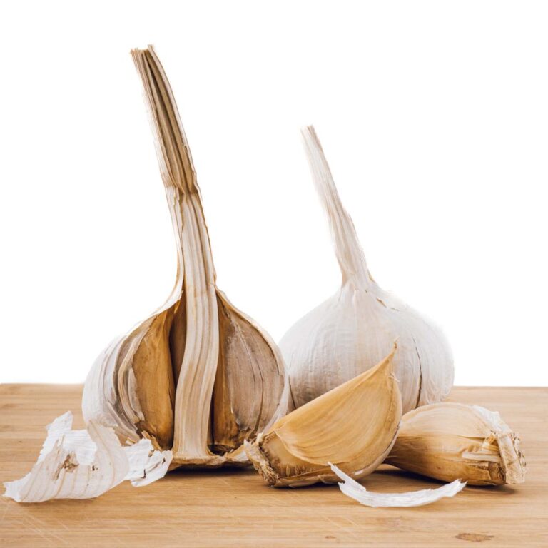 Home | Tuscan Elephant Garlic | Aglione della Valdichiana Negozio